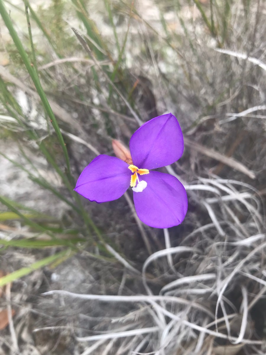 BT Day 9: Walpole to Long Point 225.6 (22.2km plus 3 unplanned km ...